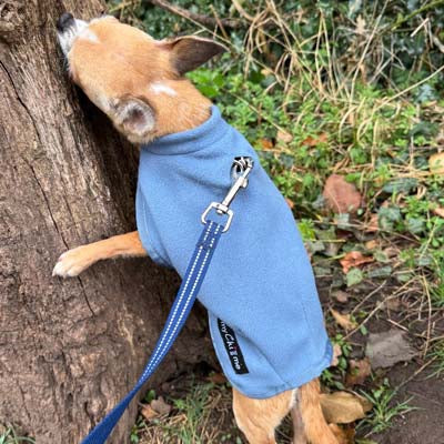 Tiny Toastie Water Repellent Fleece Dog Coat by My Chi and Me Dusky Bl