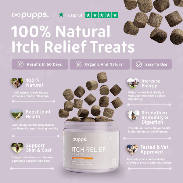 Itch Relief Treats – My Chi and Me